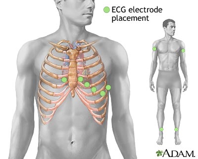 Activitatea electrica a inimii
